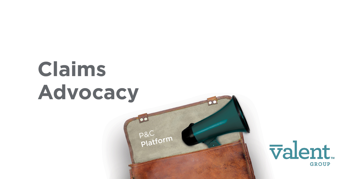 Claims Advocacy | Risk Consulting Valent Group