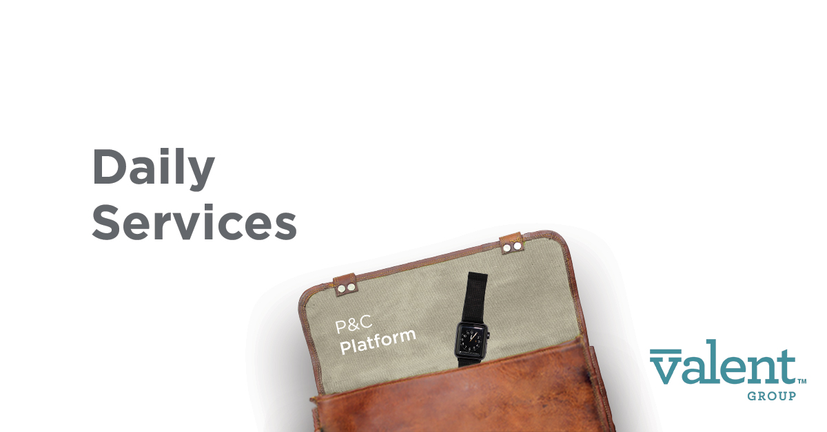 Daily Services | Risk Consulting Valent Group