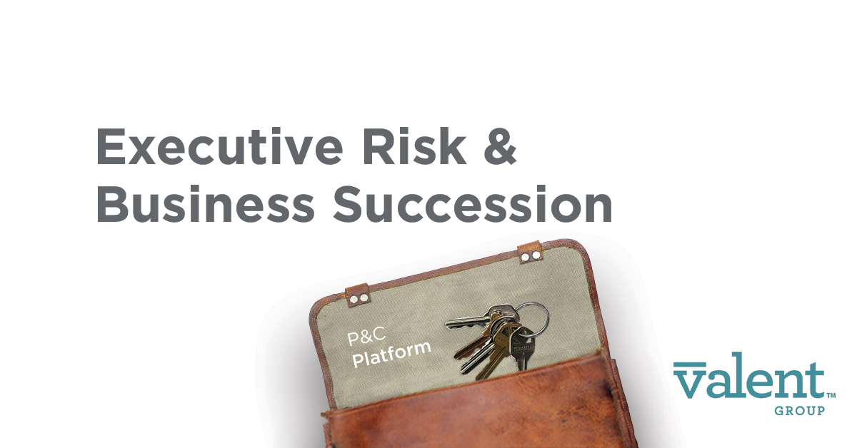 Executive Risk & Succession | Risk Consulting Valent Group