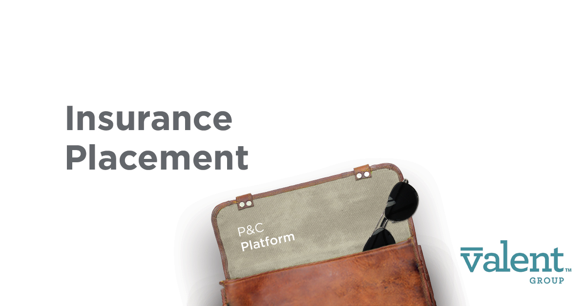 Insurance Placement | Risk Consulting Valent Group