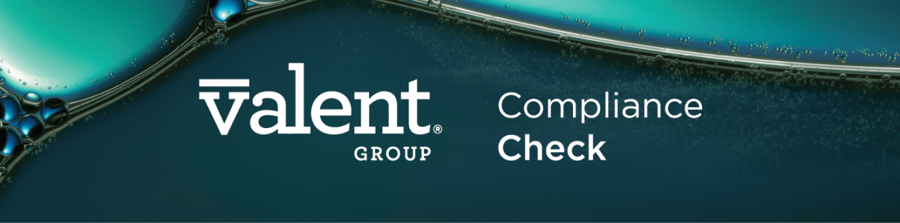 Risk Consulting | Valent Group